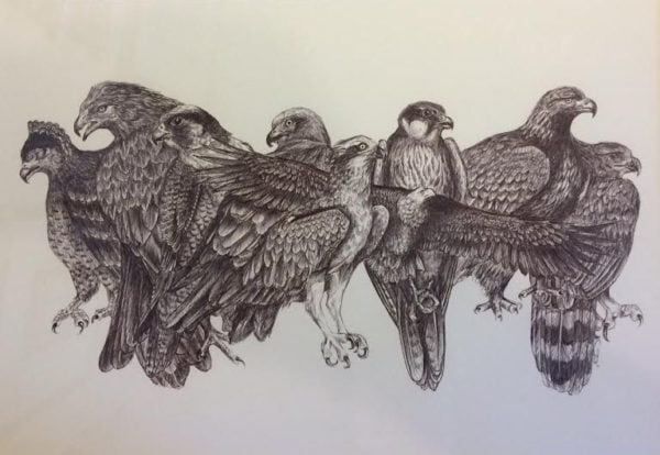 Biro Original drawing - Old Chapel Gallery