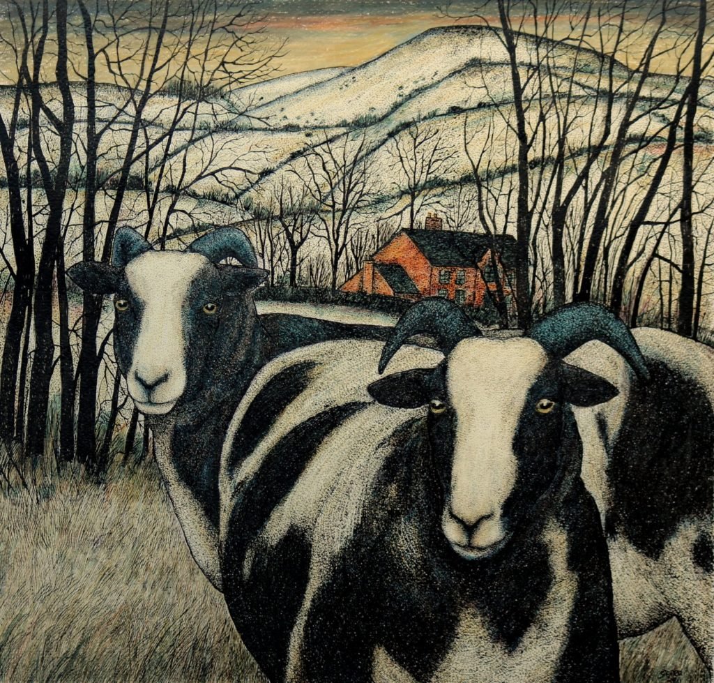 Original pen, ink and coloured pencil ‘Jacob Sheep’ - Old Chapel Gallery