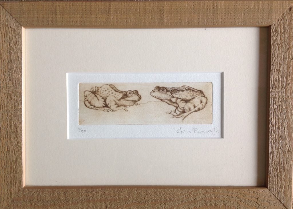 Limited Edition Etching Two Frogs - Old Chapel Gallery