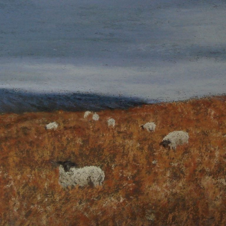 Sheepscape - Old Chapel Gallery